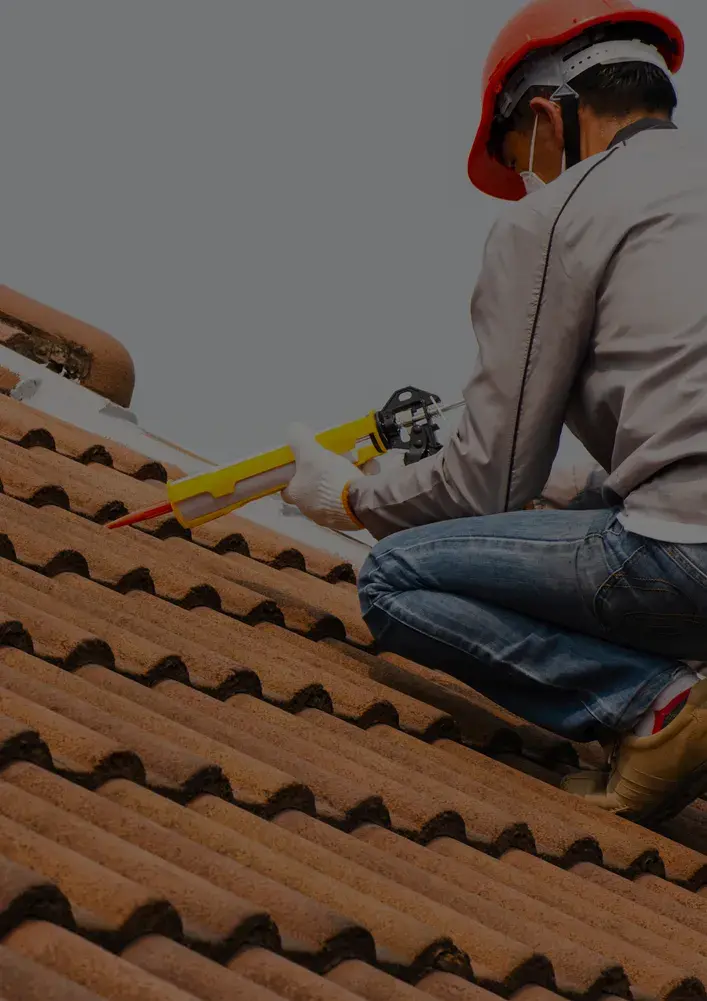 Home - RedBak International